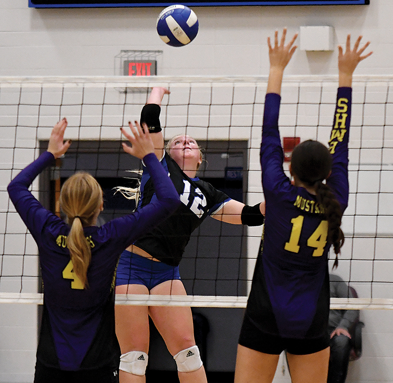 Wolverines keep cool, sweep Mustangs | News, Sports, Jobs - Times ...